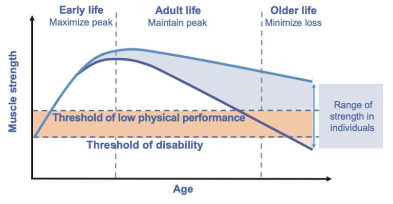 Strength Training | Osteoarthritis | Osteoporosis | Physiotherapy